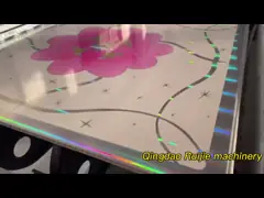 600 PVC ceiling machine line