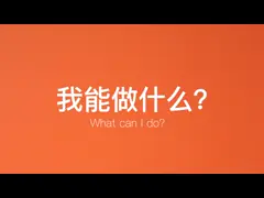 T2 Lite