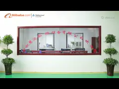 company introduction