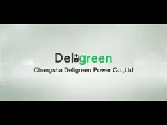 Deligreen Power Co.,Ltd Company Introduction