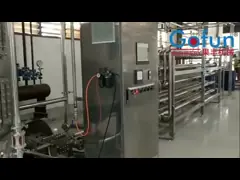 China 250t/D 380V Tin Can Tomato Paste Processing Plant for sale