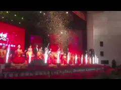 6.mp4