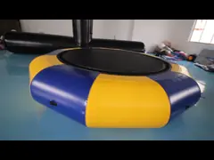 jouet de flottement extérieur de jeux 10ft gonflables de l'eau de 3m