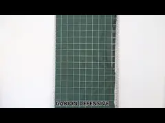 Gabion defensive barrier