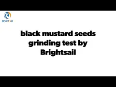 Black Mustard Seeds Grinder Machine 300 - 500kg/h High Productivity