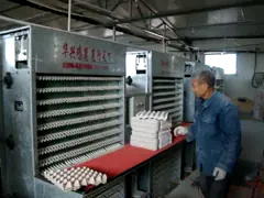 A Type Automatic Chicken Battery Poultry Cages For Laying Farms