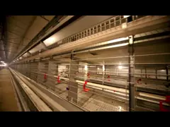 Fireproof Baby Chick Cage Auto Drinking System Corrosion Resisting
