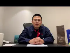 Bem-vindos à turma dos leões de Xangai.