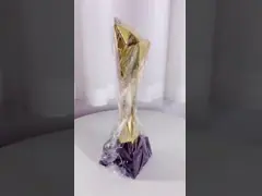 China Competition Awards height 11 inch Resin Trophy Cup WIth Star for sale