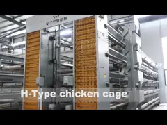 128 Birds Wire Mesh  H Type Poultry Cage Hot Galvanized