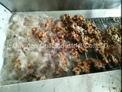 El aire deshidratado secó el jengibre