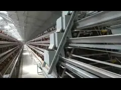 Farm Raising Layer Chicken Cage Labor Saving With Lighting