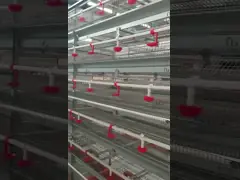 10 - 24 Cells Quail Cages 5 Tiers Large Capacity No Corners
