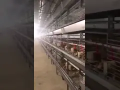 High Efficiency Baby Chick Cage Large Capacity Easy To Clean