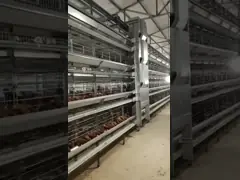 Farming 4 Door H Layer Chicken Cage With Nipple Drinker