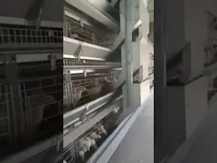 Egg Holding Wired Layer Farming Cage Scientific Designed