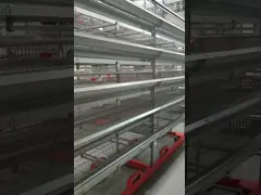 Commercial Quail Layer Cages Hot Galvanized Steel Wire Type