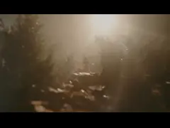 Forest Mist Collection