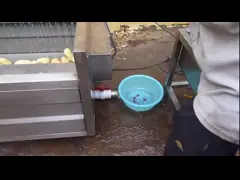 Semi-automatic French fries production line, Fried French fries making machine