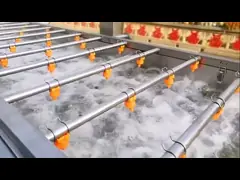 China Fresh Fruit Mango Apple Cleaning Machine 400kg Air Bubble Washing Machine for sale