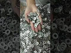 Stainless Steel D-Washer Electro Galvanized Anti Corrosion