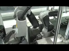 협업화 로봇과 로봇 용접 기계를 위한 Racer-5-0.80의 저렴한 6 축 로봇