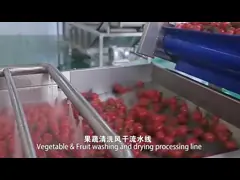Vegetable washing machine,Fruit cleaning machine