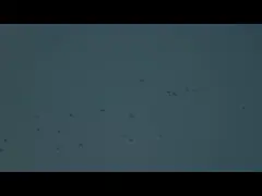 Luxury Ultrasonic Fragrance Spray Car Waterless Electric USB Car Air Freshener