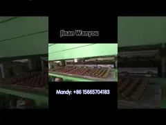 4 molds  automatic egg tray box carton machine in Nigeria