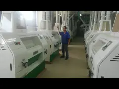 Energie - de Korenmolenmateriaal van de besparings Compact Korenmolen 120 Ton per Dag