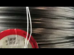 216nb video.mp4
