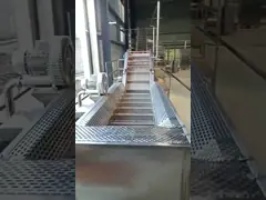 ステンレス鋼 チェリーのための機械2T/Hを作る304ジュース
