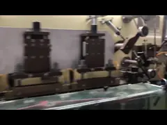新视频_中.mp4