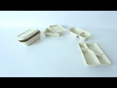Disposable Sugarcane Paper Plates Natural Bagasse Plate Biodegradable Tableware