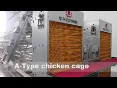 96 - 160 Birds A Type Poultry Cage Automatic High Rearing Efficiency