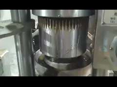 ノースオール カルトジプレス