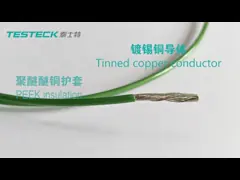 Resistência térmica da medida do sensor de temperatura do rolamento do motor SS304