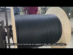 fiber optic cable sample