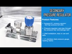 2200psi AFK SS316L High Pressure Gas Regulator FCTFE Valve