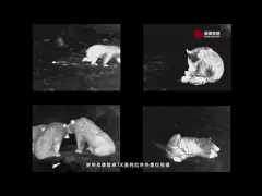 TK-动物园实拍.mp4
