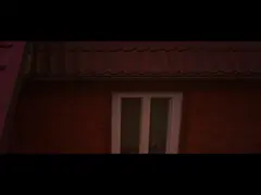 TS