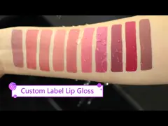 SGS Long Lasting Organic Private Label Lip Gloss