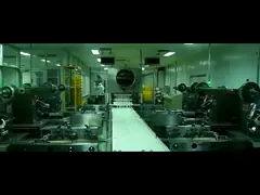 DXD-800Q Pillow Type Cut and Wrapping Machine