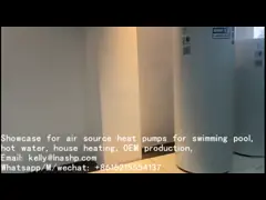 3.mp4