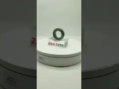 6009ZZ.mp4