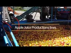China Apple chip freeze drying machine processing line Intelligent temperature control Rehydration rate greater than 90% for sale