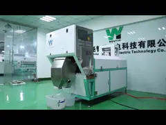 China Most Popular 10 Chute Almond Color Sorter Cashew Nut Sorting Machine Nut Processing Machinery for sale