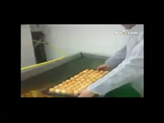 Egg Washing And Breaking Line