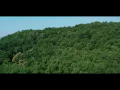 Luoyang CBNT Steel Cabinet Co., Ltd