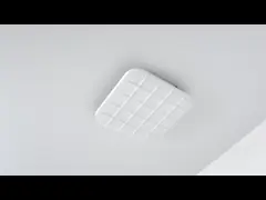 Il progetto di legge sui diritti dell‘uomo